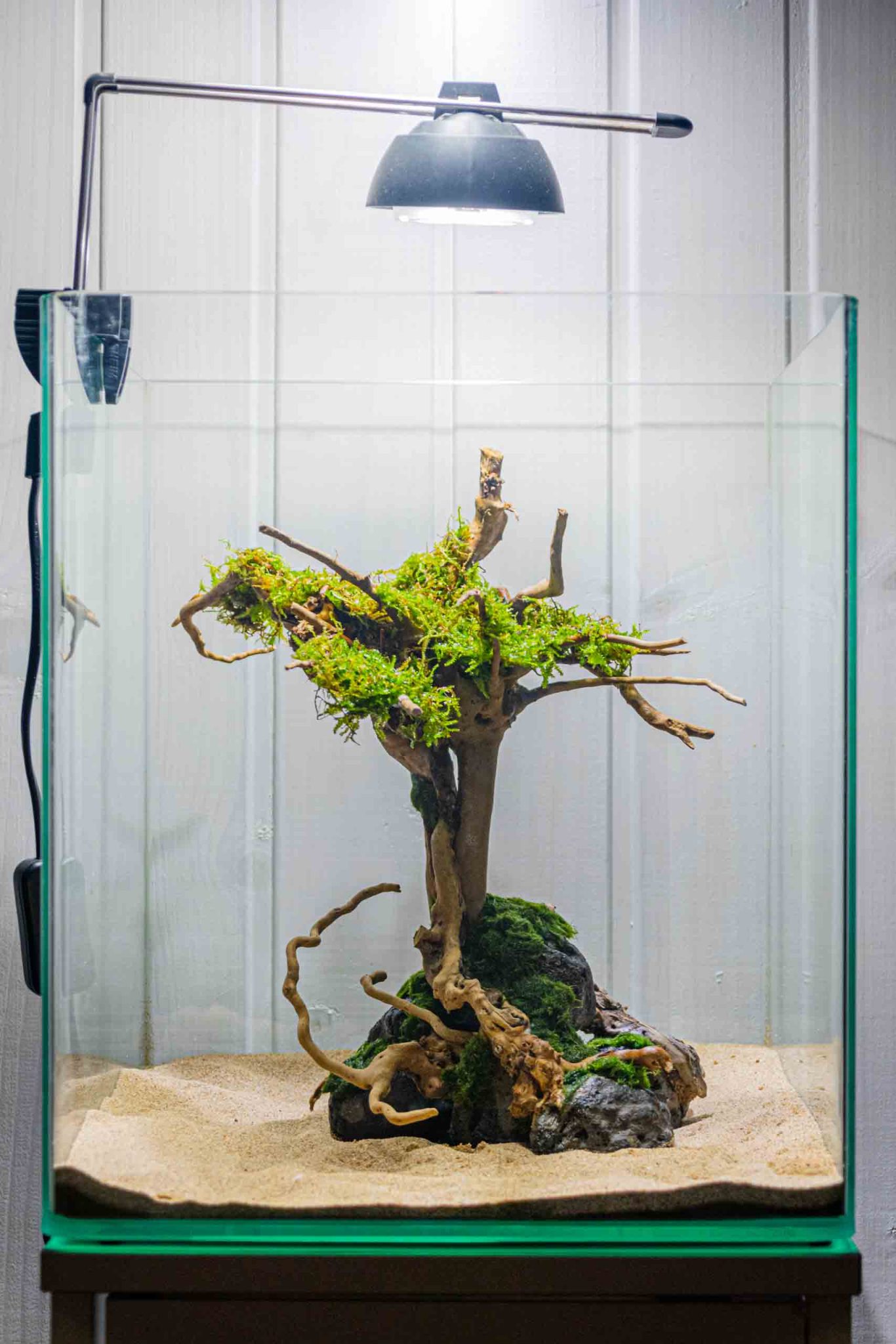 Aquascape Design Ref. A10 To Decorate Aquariums - Nympha Design